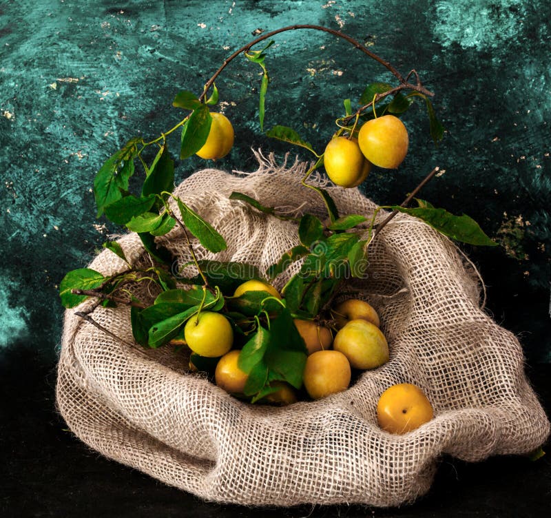 Fresh Summer Plums Inside Jute Stock Image - Image of jute, branch ...
