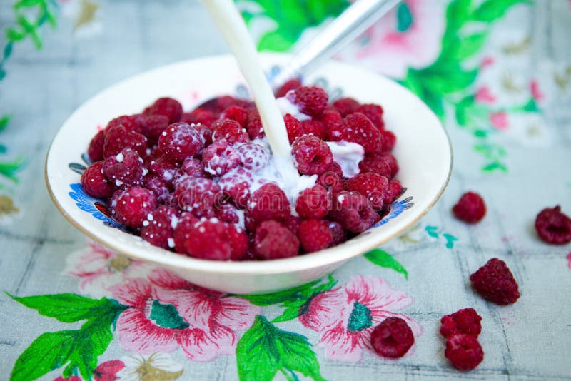 Fresh summer raspberry stock photo. Image of temptation - 21068758