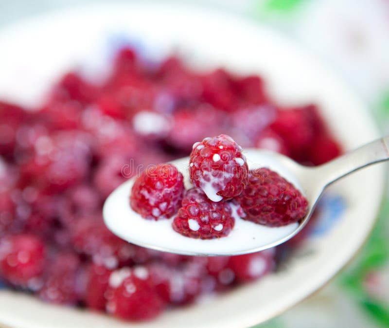 Fresh summer raspberry stock image. Image of fruit, fresh - 21206589