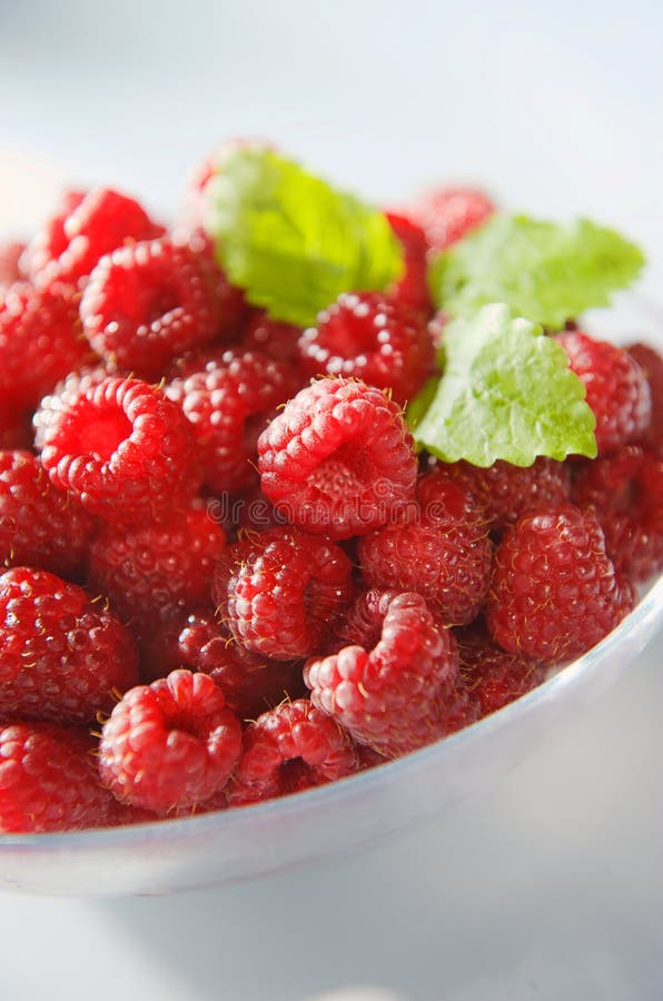 Fresh Raspberries in a Food Processor Stock Photo - Image of dried ...
