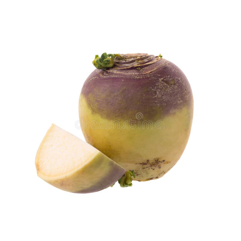 Fresh swede vegetable stock photo. Image of macro, closeup - 130075418