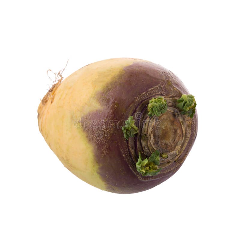 Swede isolated on white stock photo. Image of details - 8269216