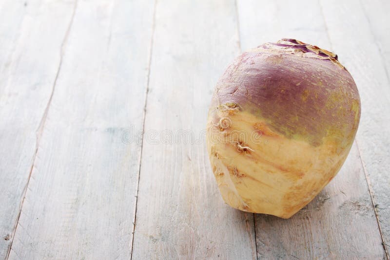 Fresh swede vegetable stock photo. Image of background - 61850062