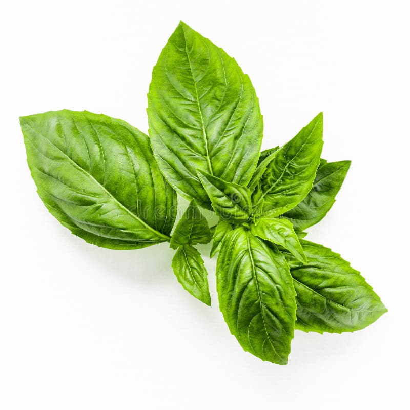 Sweet Basil Vinaigrette Dressing Ingredients on White Wooden Background ...