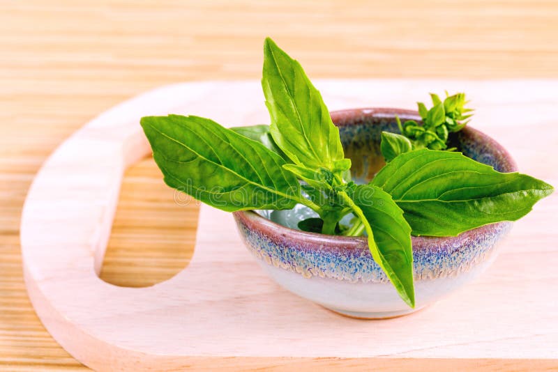 Fresh Sweet Basil stock photo. Image of nature, healthy - 53016242
