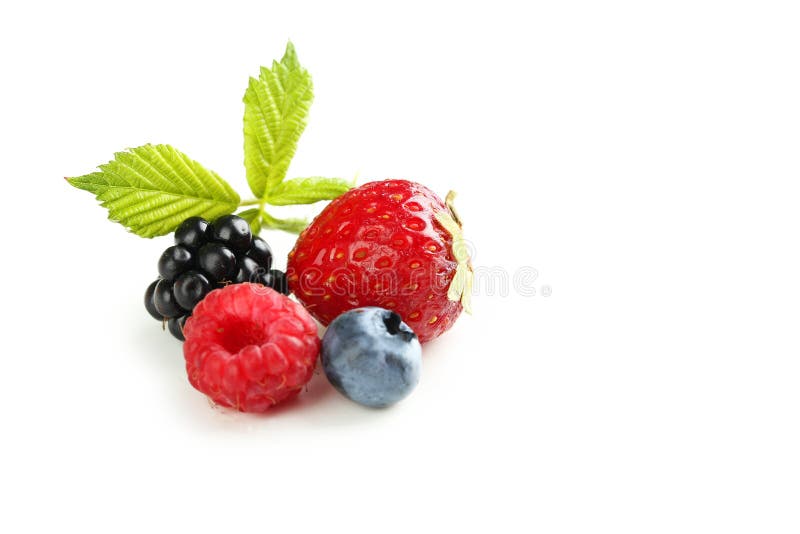 Fresh sweet berries stock photo. Image of juicy, freshness - 57415368