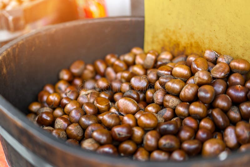 Fresh Sweet Chestnuts in Bucket Stock Image - Image of harvest, seed ...