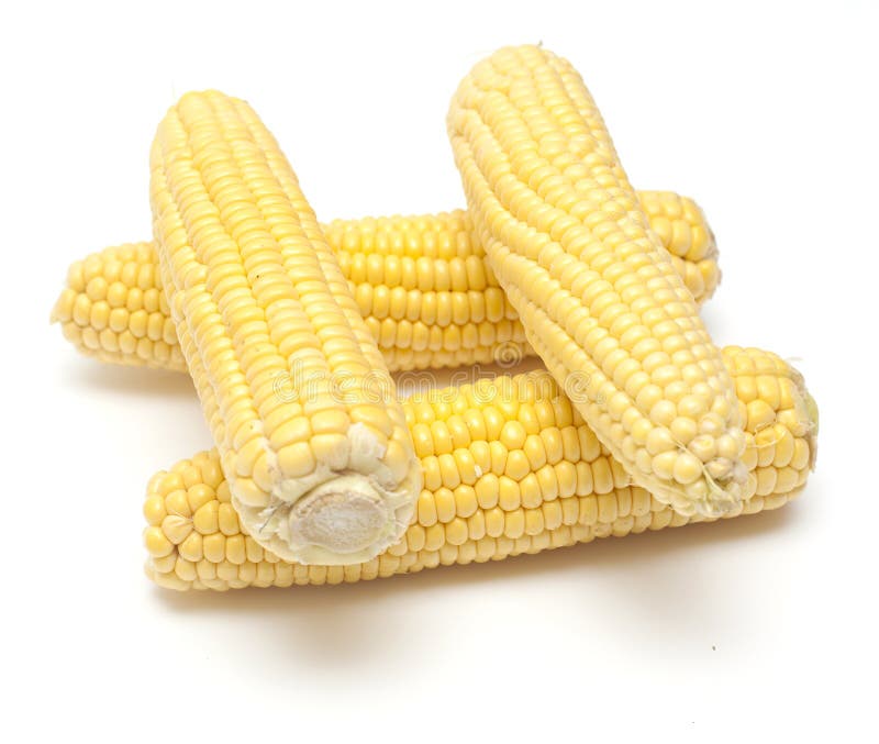Fresh sweet corn stock image. Image of lifestyle, kitchen - 21477819