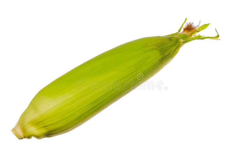 Fresh sweet corn stock image. Image of background, closeup - 185428807