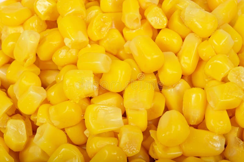 Corn kernals stock image. Image of texture, nutrition - 15941249