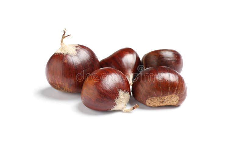 Fresh Sweet Edible Chestnuts on White Background Stock Photo - Image of ...