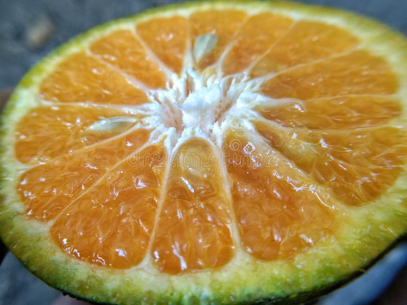 Fresh and Sweet Orange Fruit Image Stock Photo - Image of round, piece ...