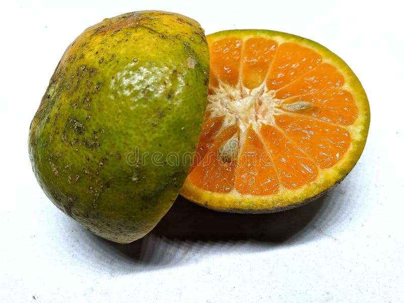 Fresh and Sweet Orange Fruit Image Stock Photo - Image of leaf, piece ...