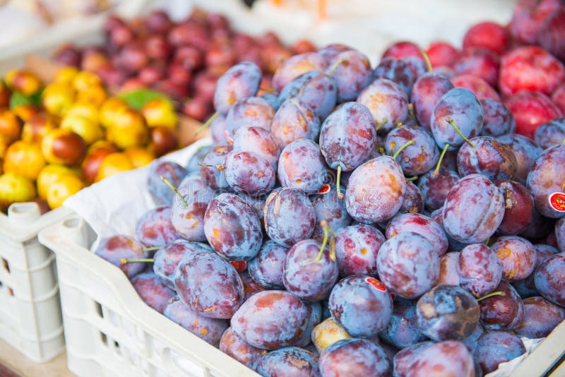 Fresh Sweet Plum in Local Market Stock Photo - Image of market, fruit ...