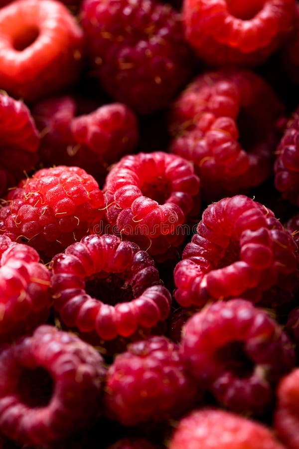 Fresh and Sweet Red Raspberries Texture. Fruit Pile Background Stock ...