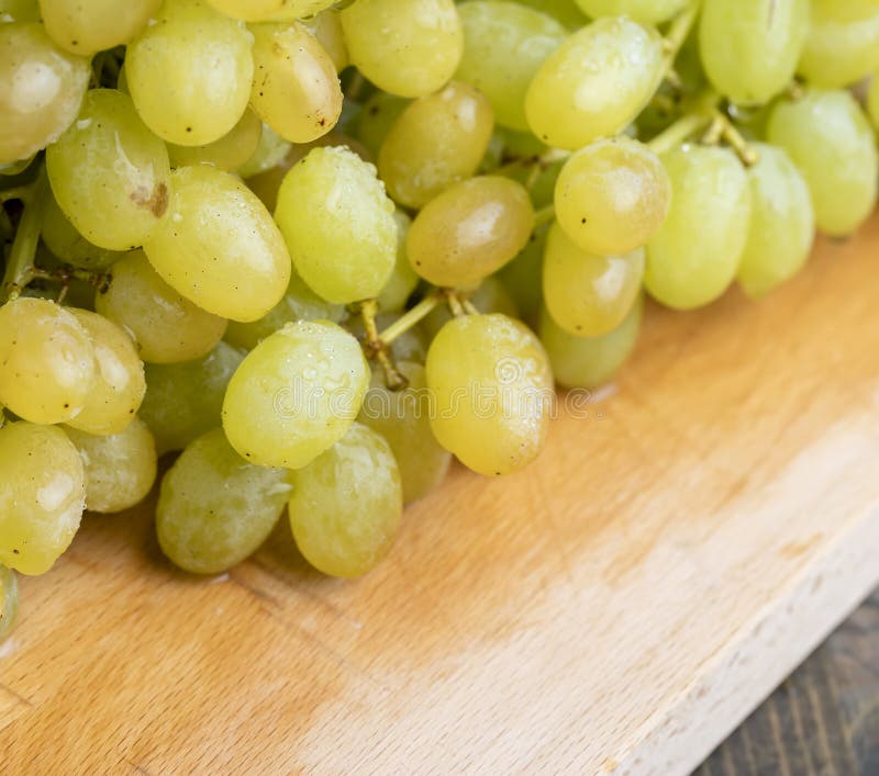 Fresh Sweet Washed Green Grapes Stock Image - Image of water, spring ...