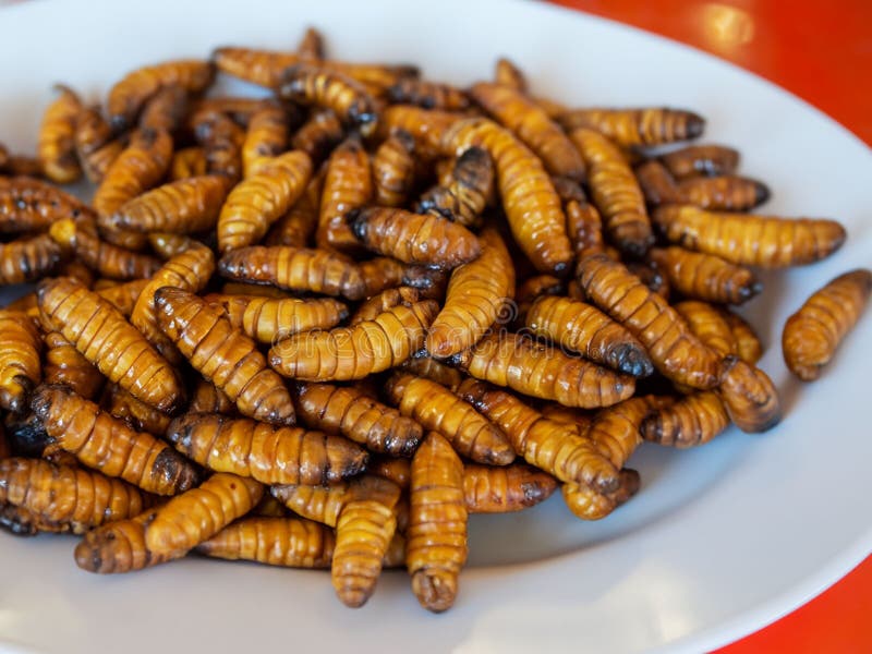 Fresh and Sweet Worm Fried in the Market Stock Image - Image of healthy ...