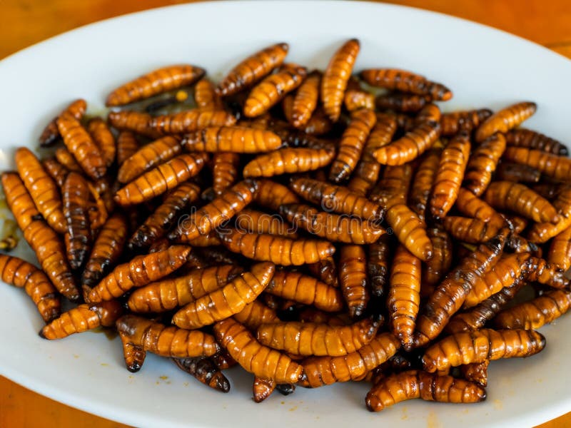 Fresh and Sweet Worm Fried in the Market Stock Photo - Image of cuisine ...