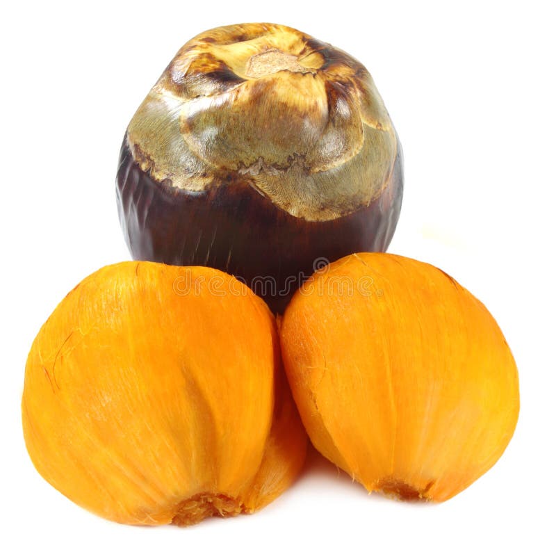 Tal Fruit of Indian Subcontinent Stock Photo - Image of agricultural ...