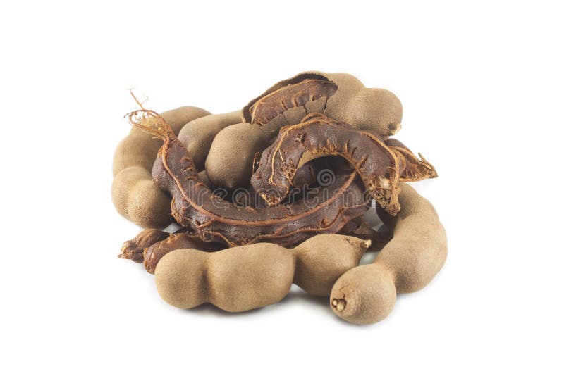 Fresh Tamarind stock image. Image of tropical, ingredient - 88416447