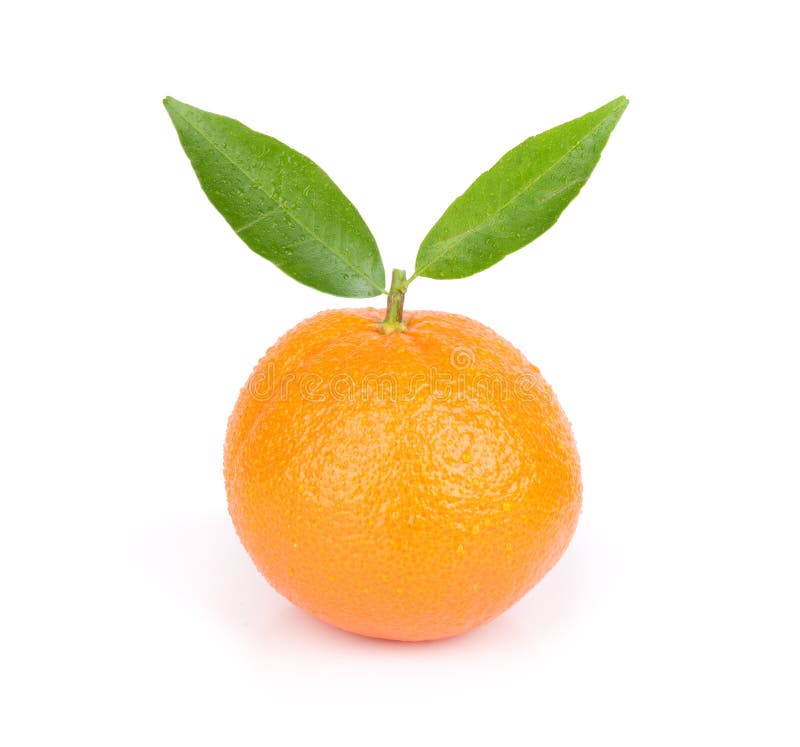 Fresh tangerine stock image. Image of dietary, green - 17722803