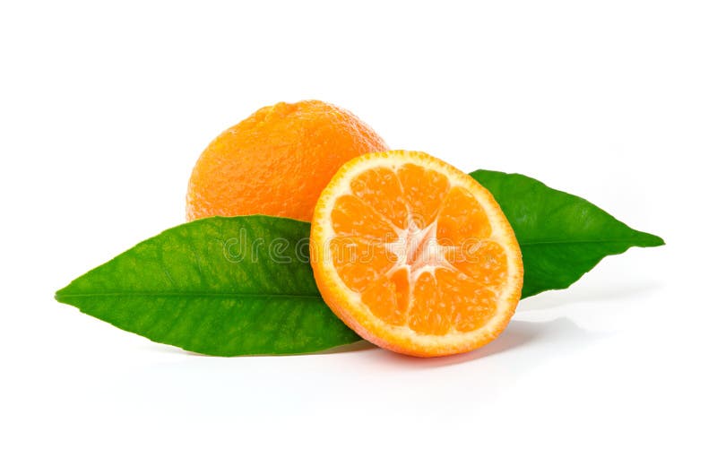 Fresh Tangerine Fruits stock photo. Image of isolated - 23266384
