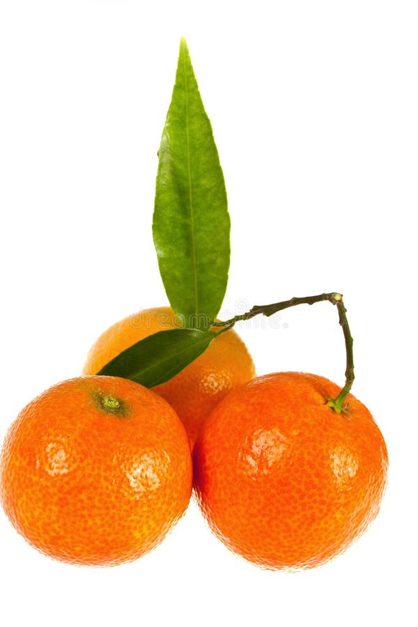 Fresh Tangerine with Leaves, Close Up Stock Photo - Image of objects ...