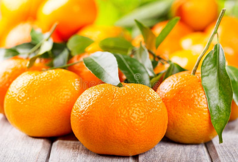 Fresh tangerines stock photo. Image of juicy, vegetarian - 28570592