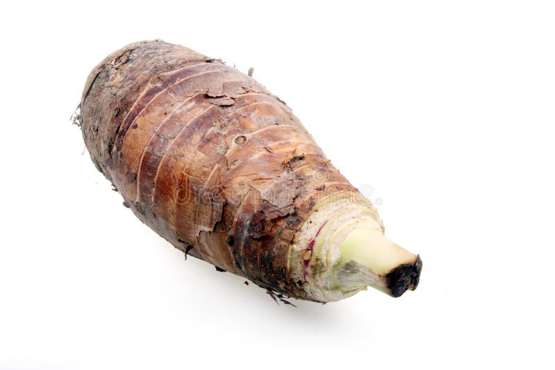 Fresh taro stock image. Image of potato, root, crop, vegetable - 8584831