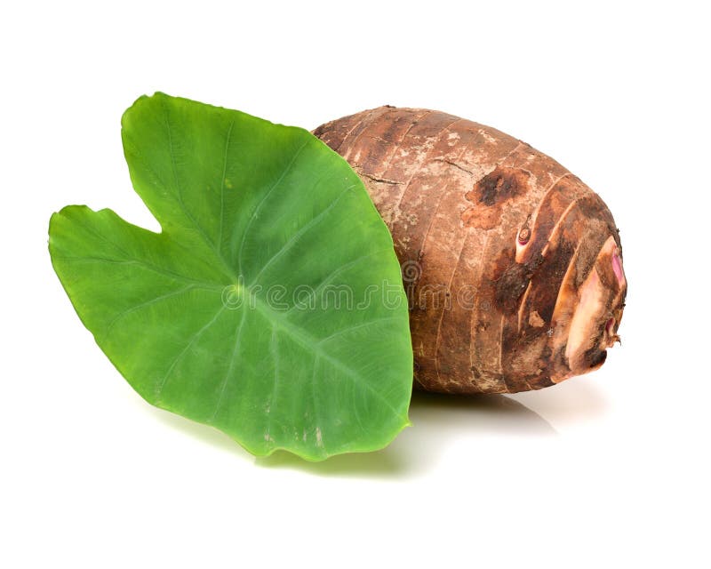 Fresh Taro stock photo. Image of organic, basket, root - 108376762