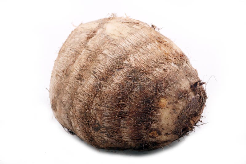 Fresh taro stock image. Image of potato, root, crop, vegetable - 8584831