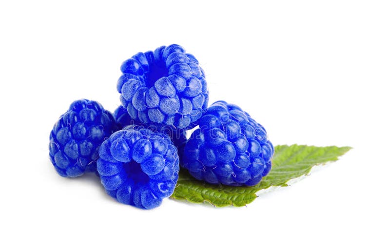 Fresh Tasty Blue Raspberries Isolated on White Stock Image - Image of ...