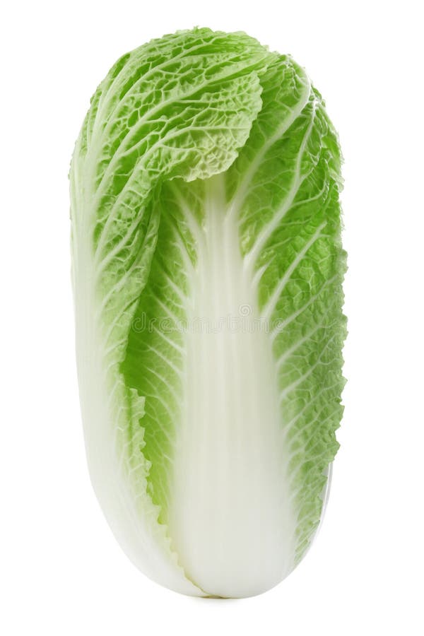 Fresh Tasty Chinese Cabbage Isolated Stock Photo - Image of diet ...