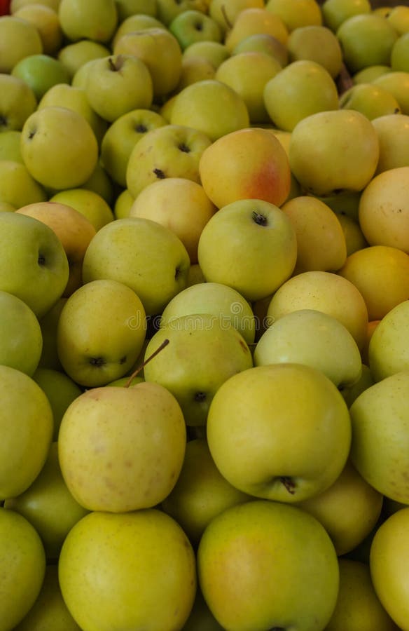 Fresh, Tasty, Juicy, Yellow Apples in a Box. Stock Photo - Image of ...