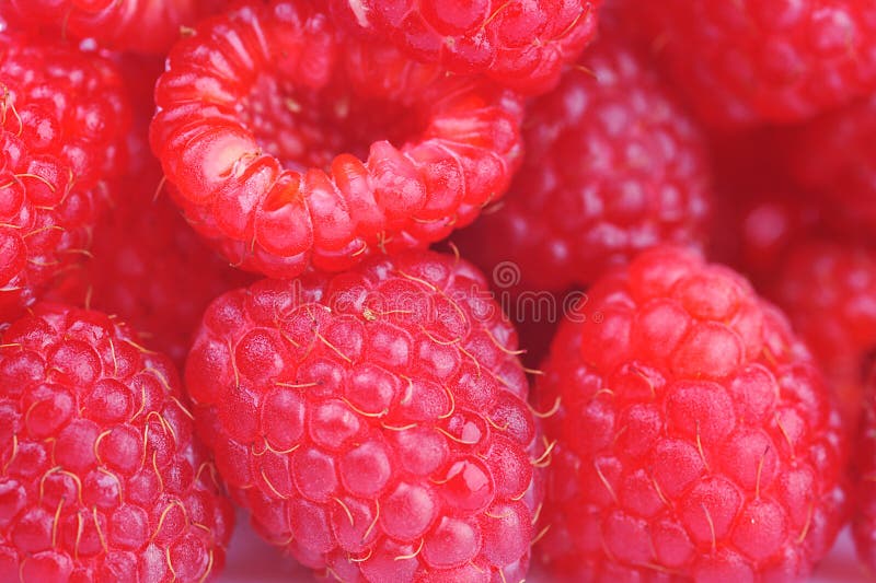 Fresh and tasty raspberry stock image. Image of eating - 10974735