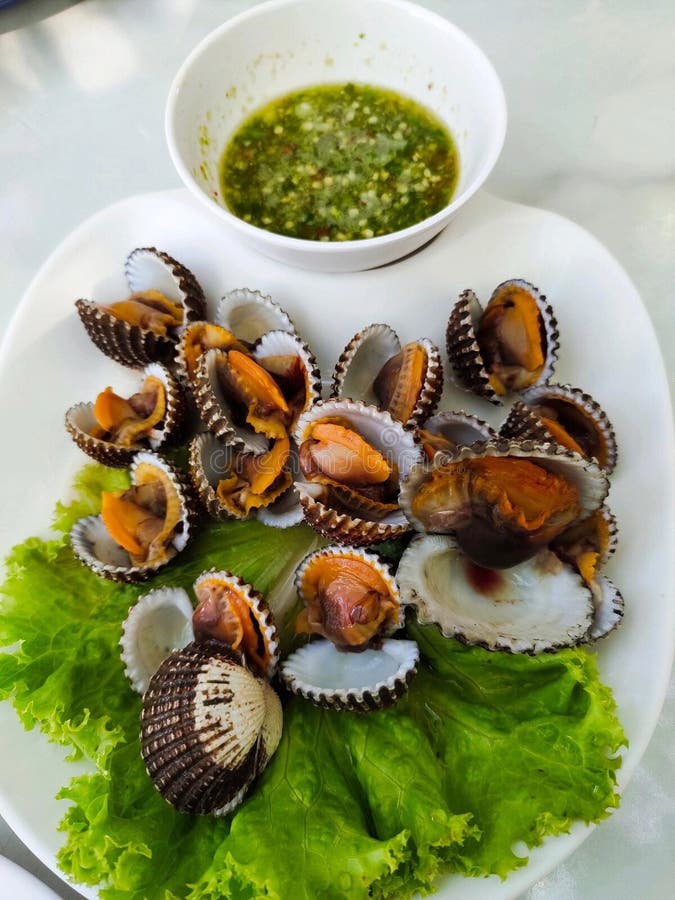 Fresh and Tasty Seafood , Boiled Cockles Stock Photo - Image of ...