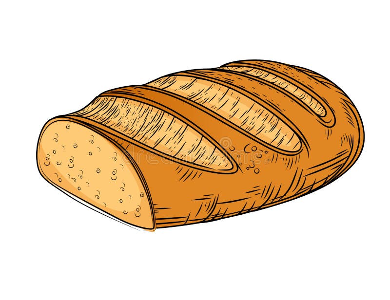 Fresh Tasty White Bread Hand Drawn Style Vector Illustration Isolated ...