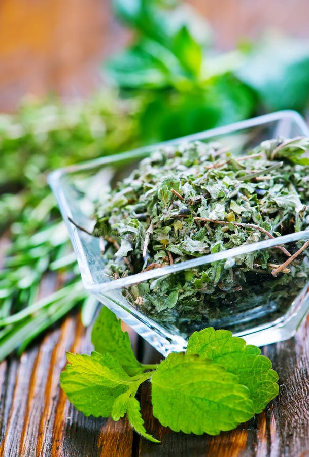 Fresh tea stock image. Image of chamomile, doctor, calendula - 76729183