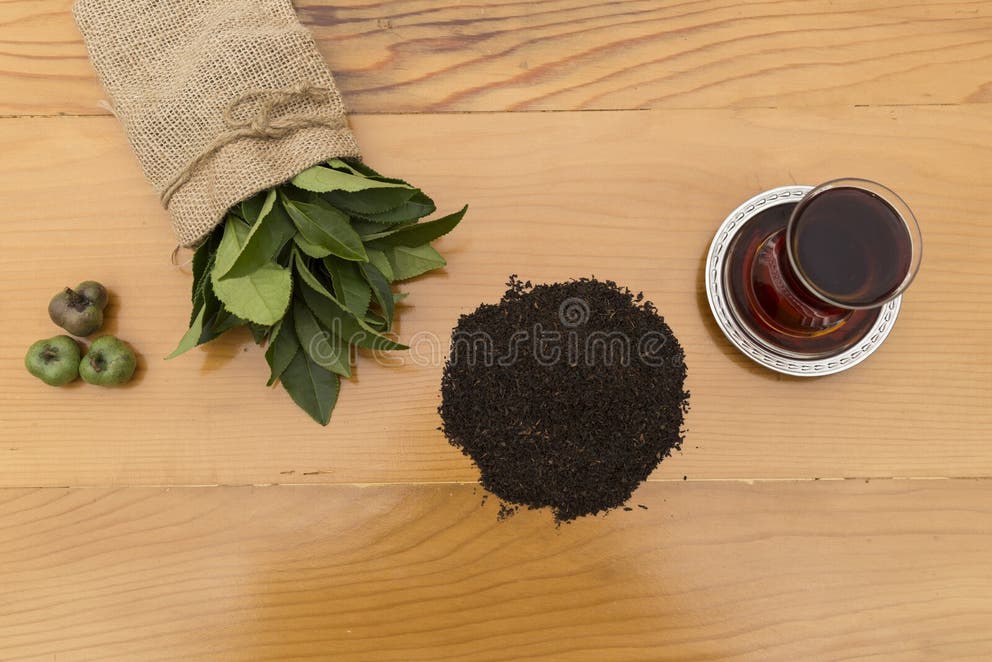 Step by Step Tea Making Stage Stock Photo - Image of agricultural ...