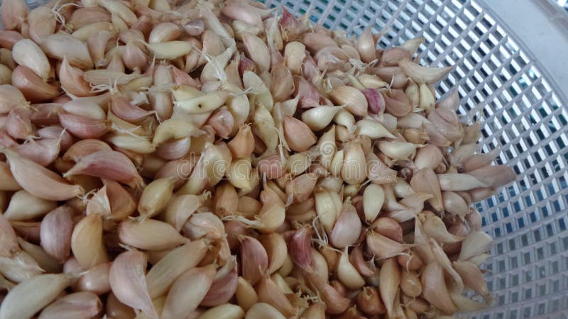 Thai garlic stock photo. Image of kitchen, garlic, recipe - 53329252