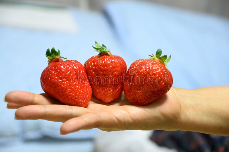 Fresh Three Red Strawberries Looks so Appetizing Stock Image - Image of ...