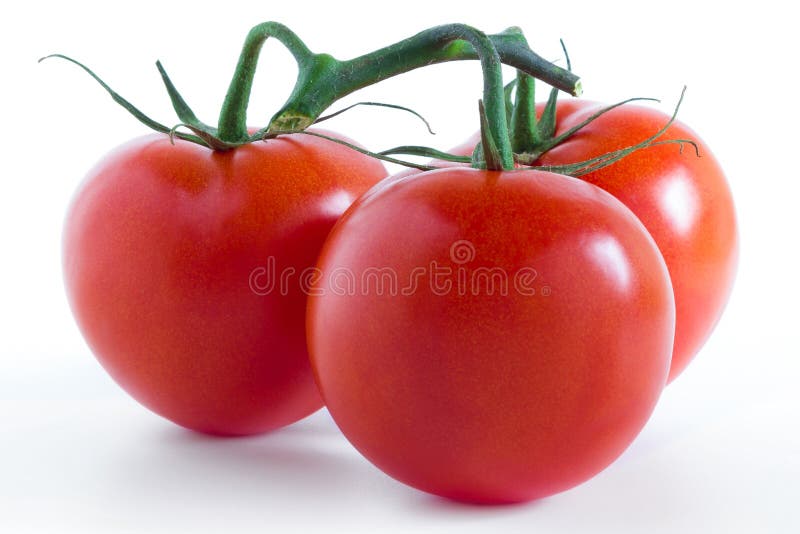 Fresh three tomatoes stock image. Image of sauce, salad - 195445829