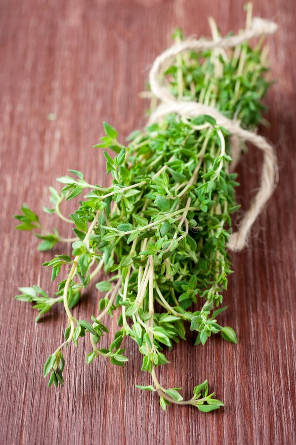 Fresh thyme stock photo. Image of flavor, herbal, green - 27405452