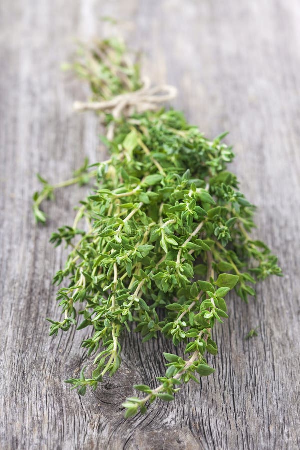 Fresh herbs stock image. Image of background, green, bunch - 22756277