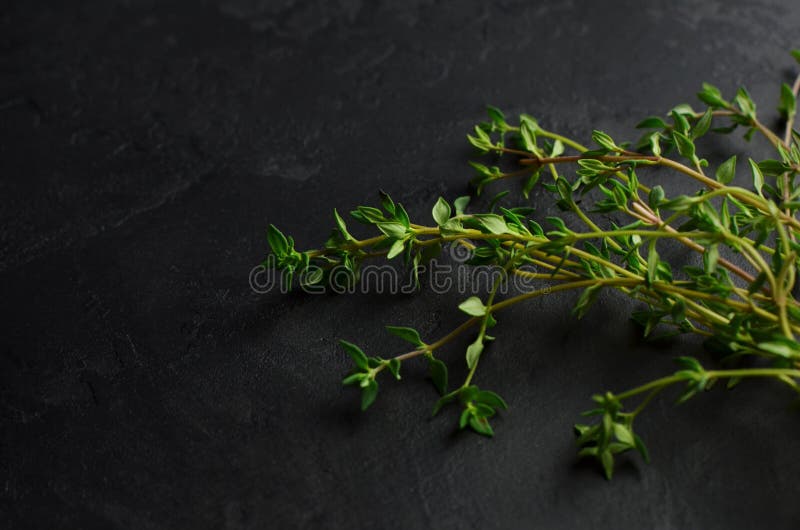 Fresh Thyme Herb on Dark Background. Aromatherapy Concept. Selective ...