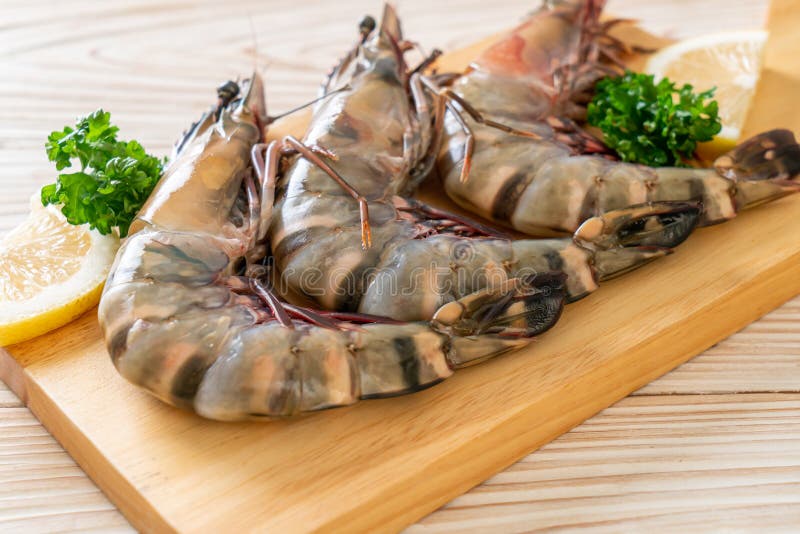 Fresh Tiger Prawn or Shrimp Stock Photo - Image of mediterranean ...