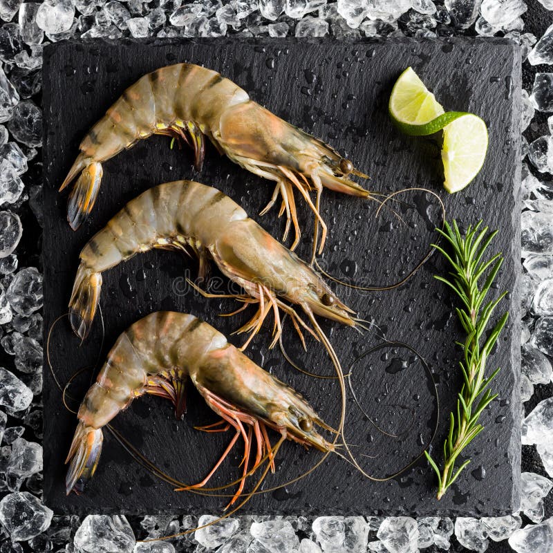 Fresh Tiger Shrimp on Ice on a Black Stone Table Stock Photo - Image of ...