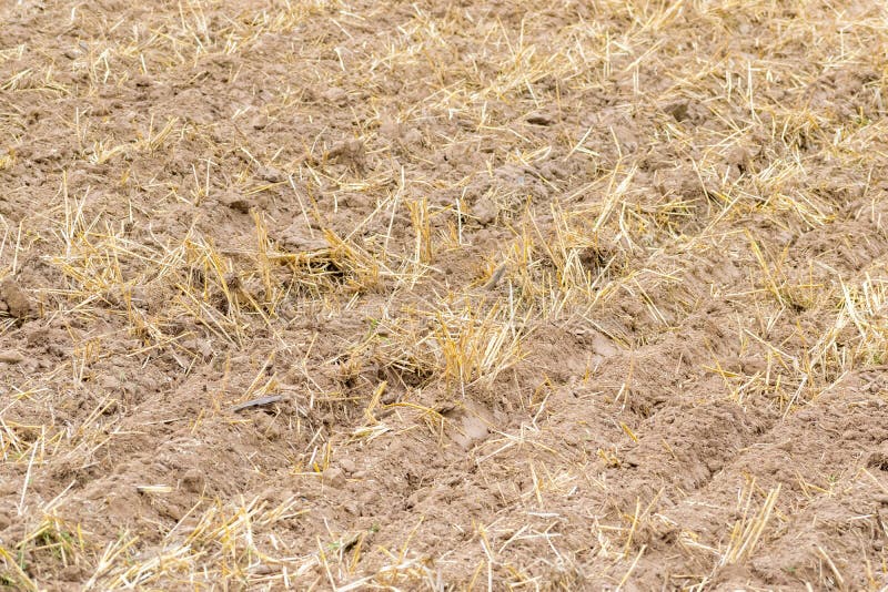 Tillage and Soil Patterns stock photo. Image of soil - 118909284