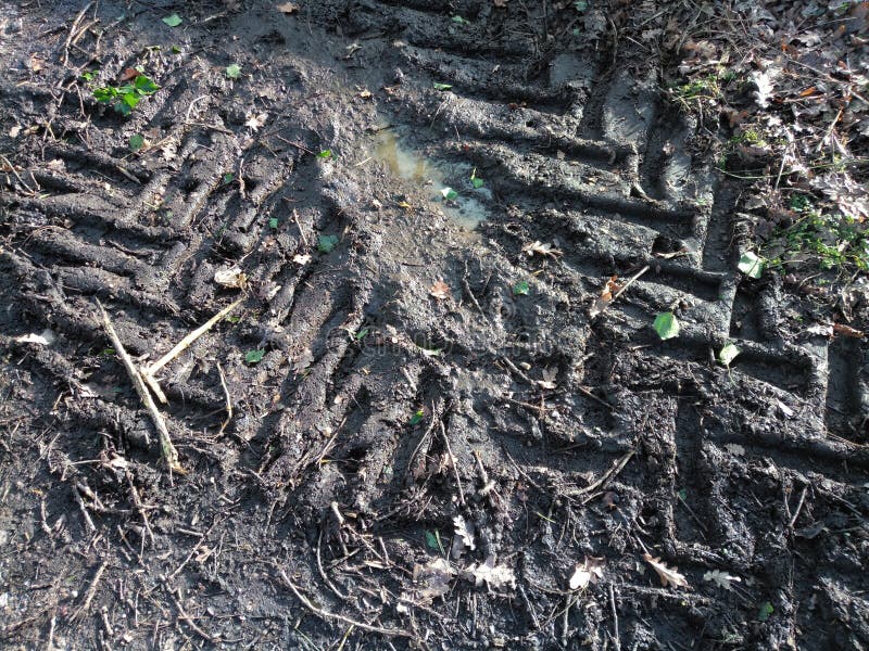 Fresh Tire Tracks in the Soft Wet Mud Stock Photo - Image of tracks ...