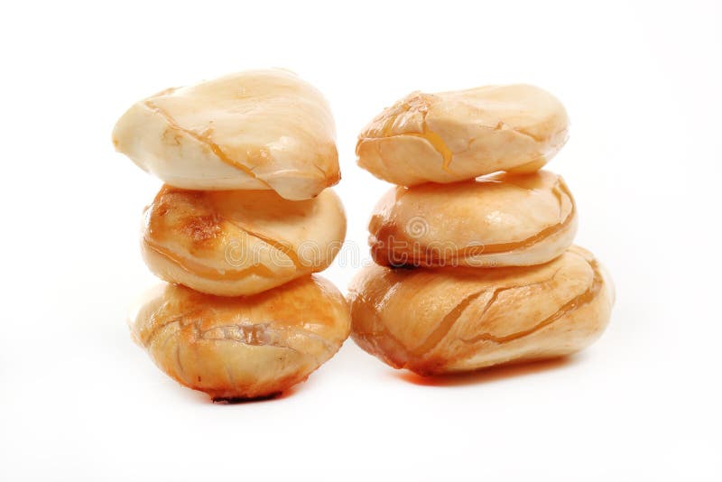 Fresh Toddy Palm Seeds after Peeling Stock Image - Image of thailand ...